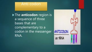 Transcription presentation | PPTX