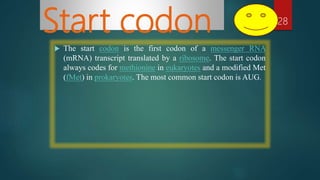 Transcription presentation | PPTX