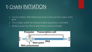 Transcription presentation | PPTX