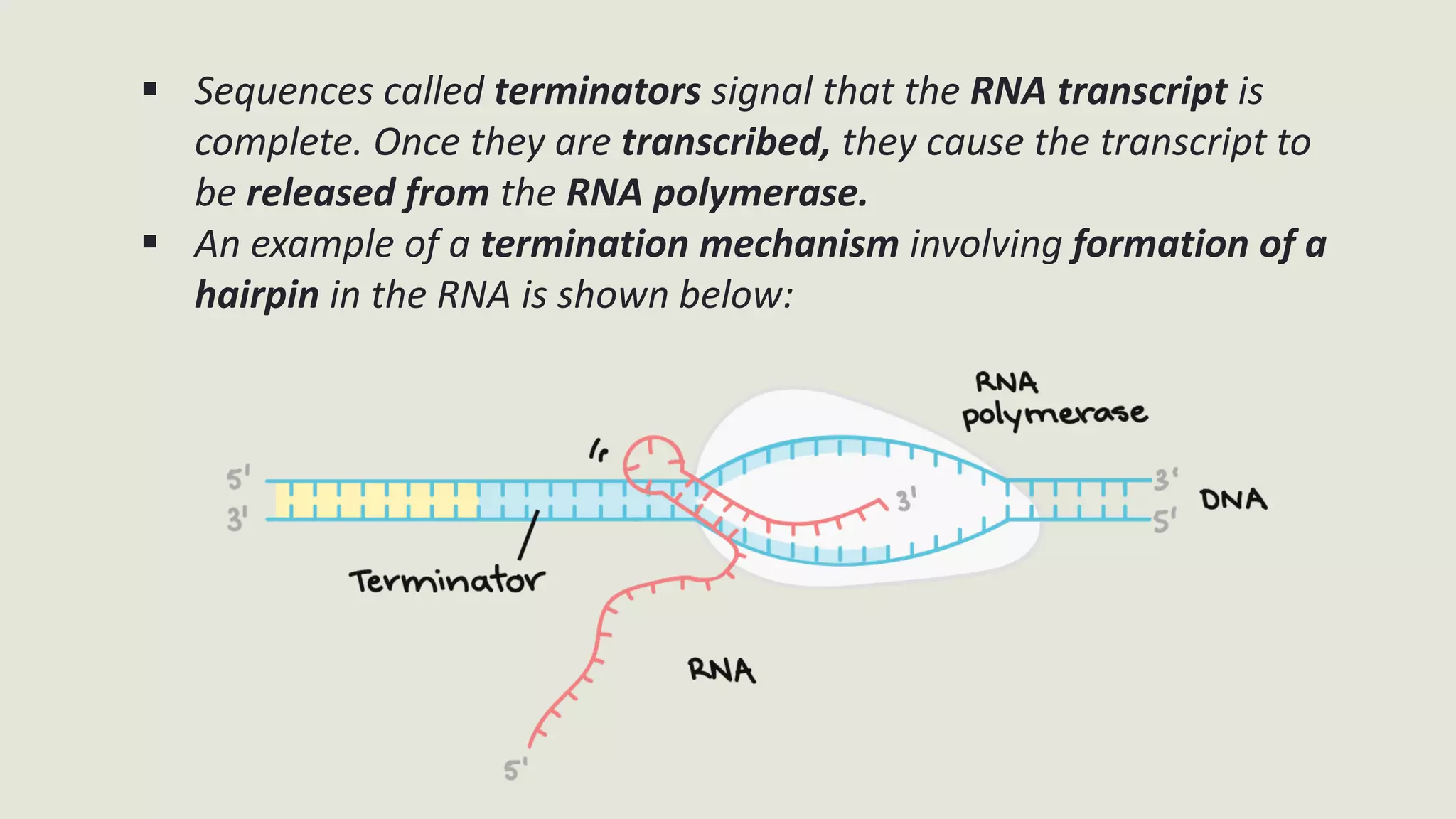 Transcription | PPTX