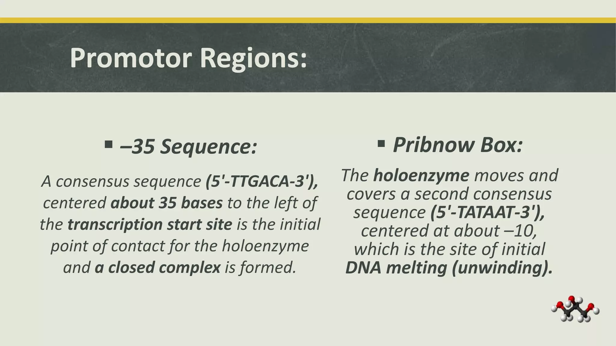 Transcription | PPTX