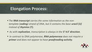 Transcription | PPT