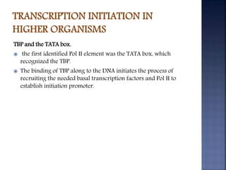 Transcription regulation at the core | PPT