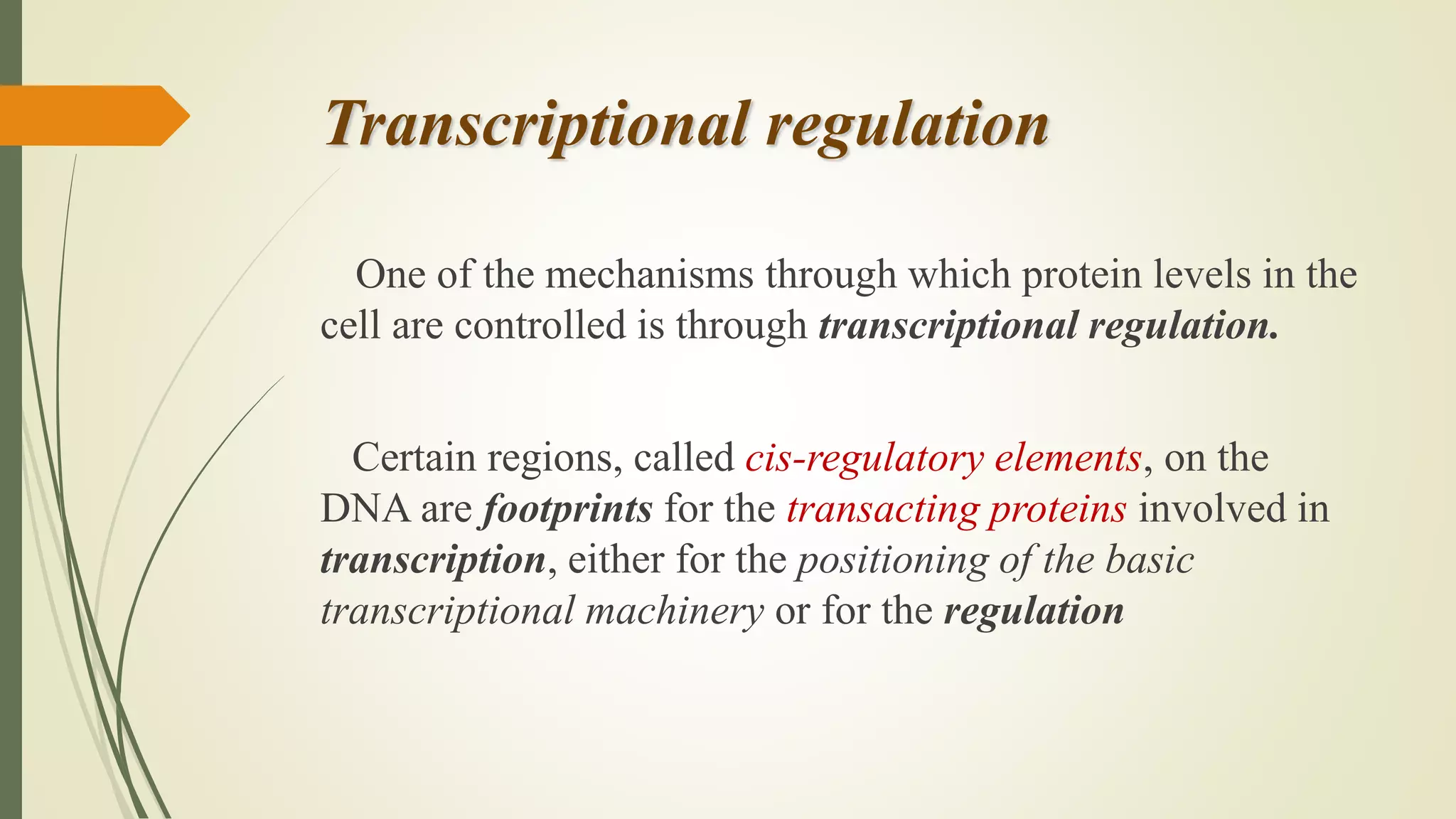 Transcription regulatory elements | PPTX