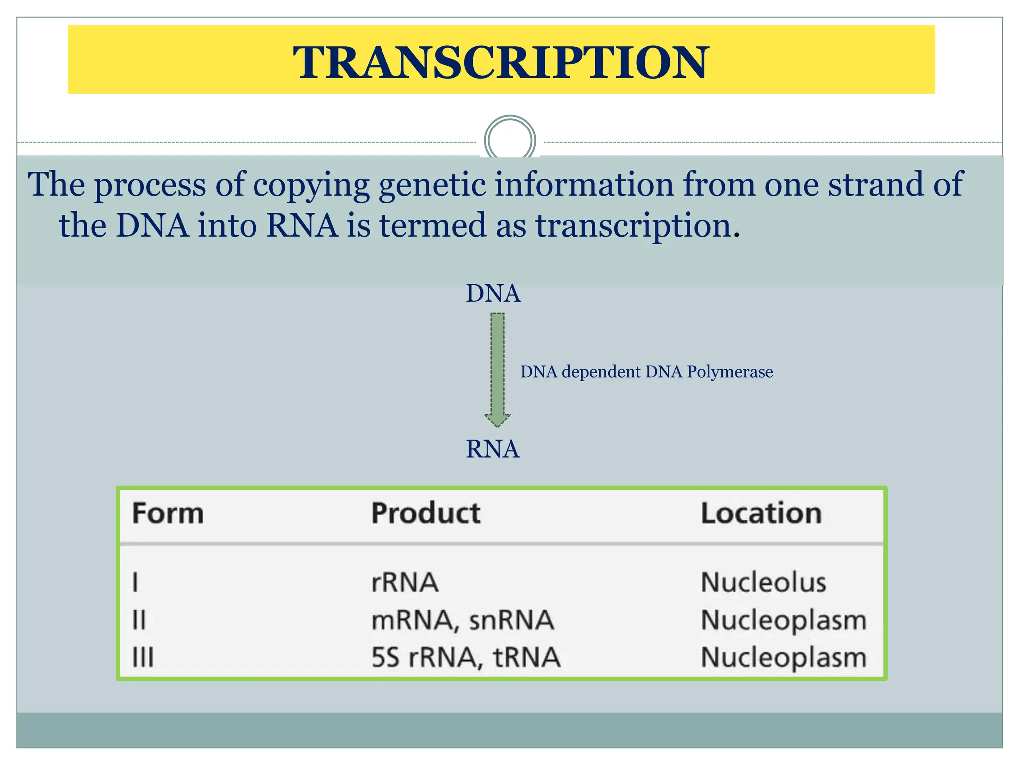 TRANSCRIPTION Class XII Biology based on NCERT Text book rk.pptx
