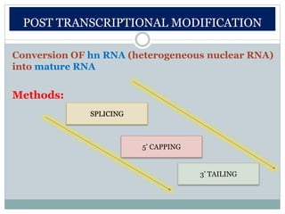 TRANSCRIPTION Class XII Biology based on NCERT Text book rk.pptx