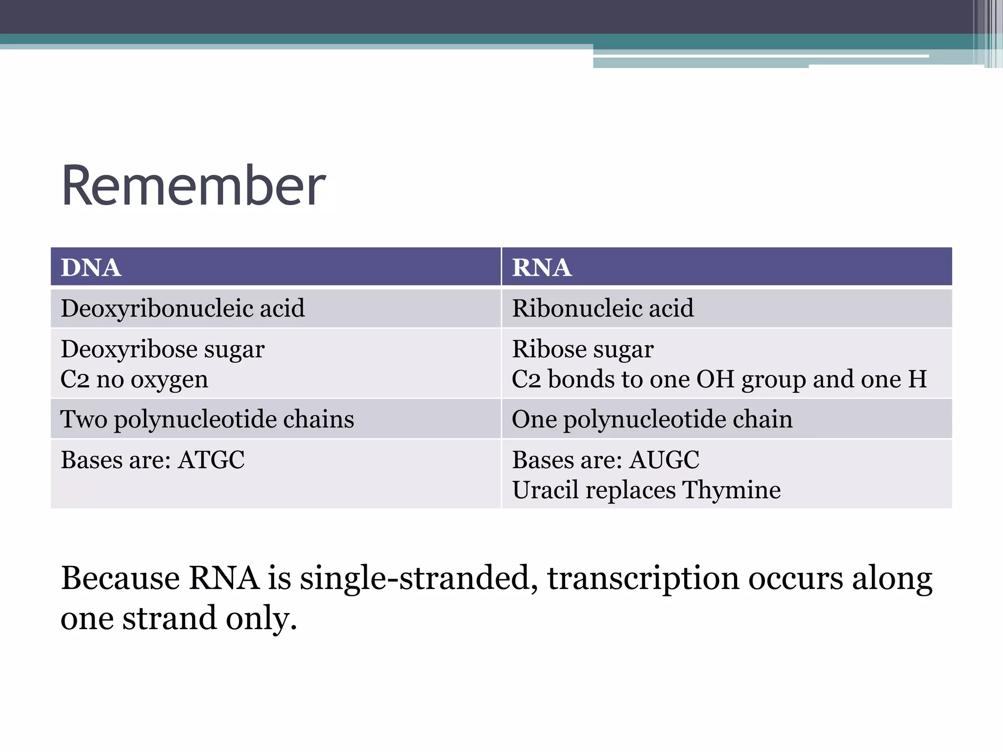 4.3 Transcription and translation | PPTX
