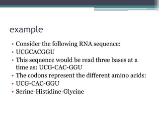 4.3 Transcription and translation | PPTX