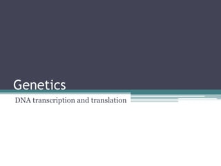 4.3 Transcription and translation | PPT
