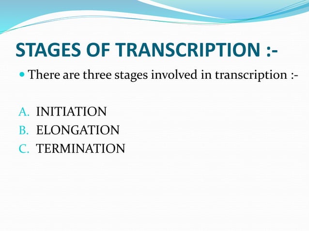 Transcription &translation | PPTX | Programming Languages | Computing