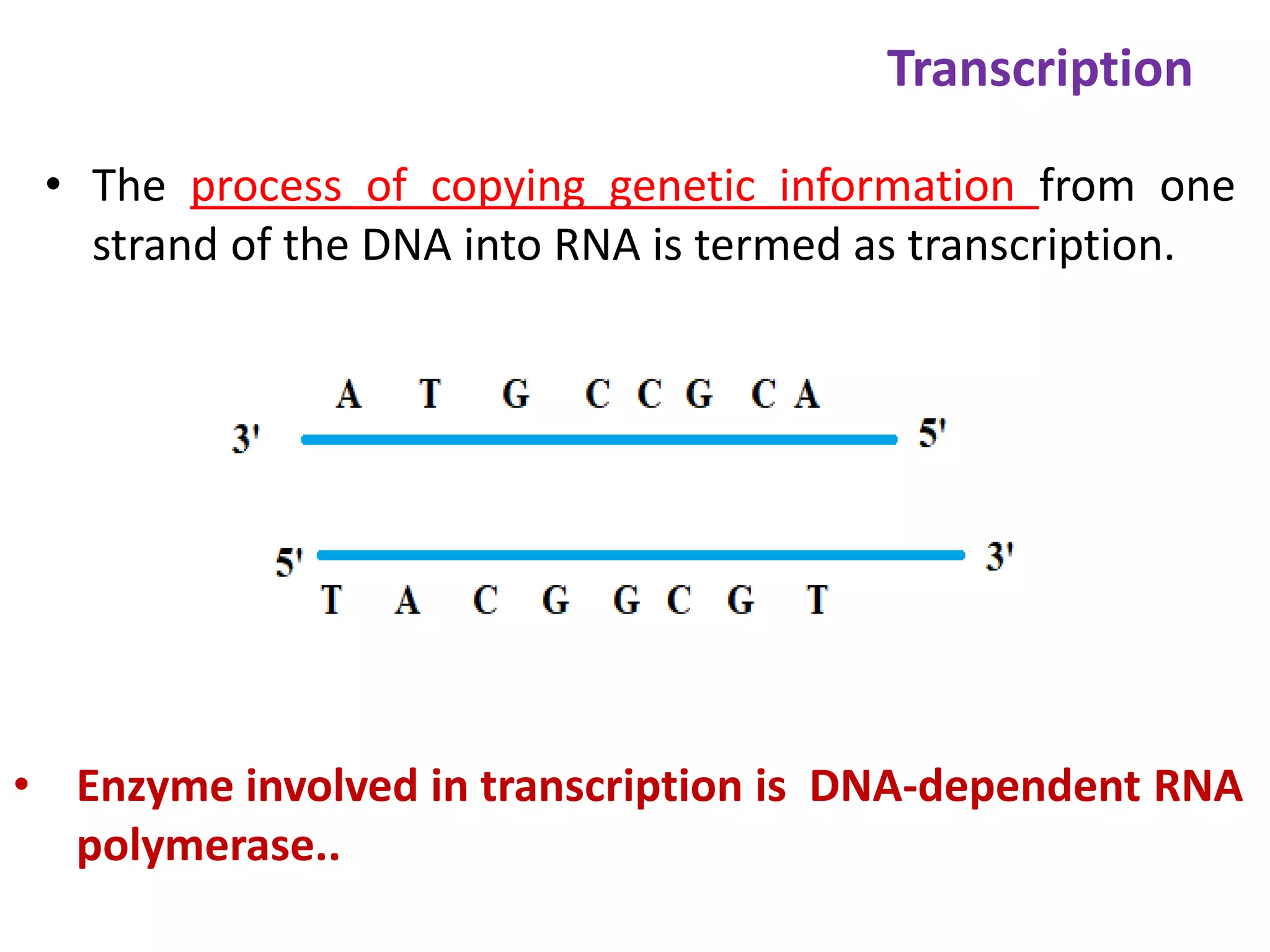 Transcription unit and transcription | PPTX