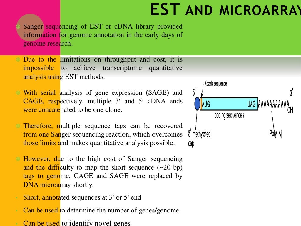 Transcriptome Analysis