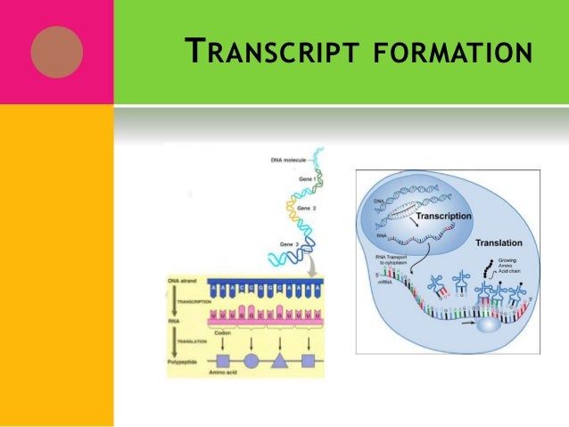 Transcriptome analysis
