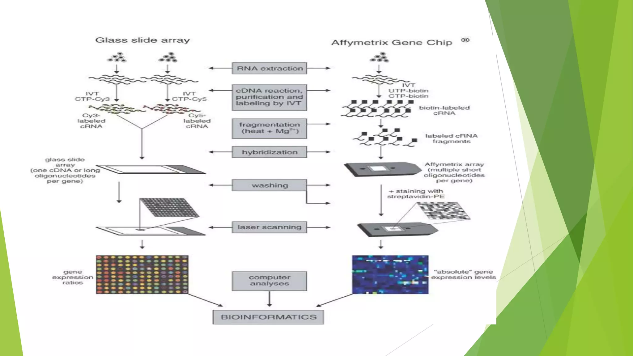 Transcriptome analysis | PPTX