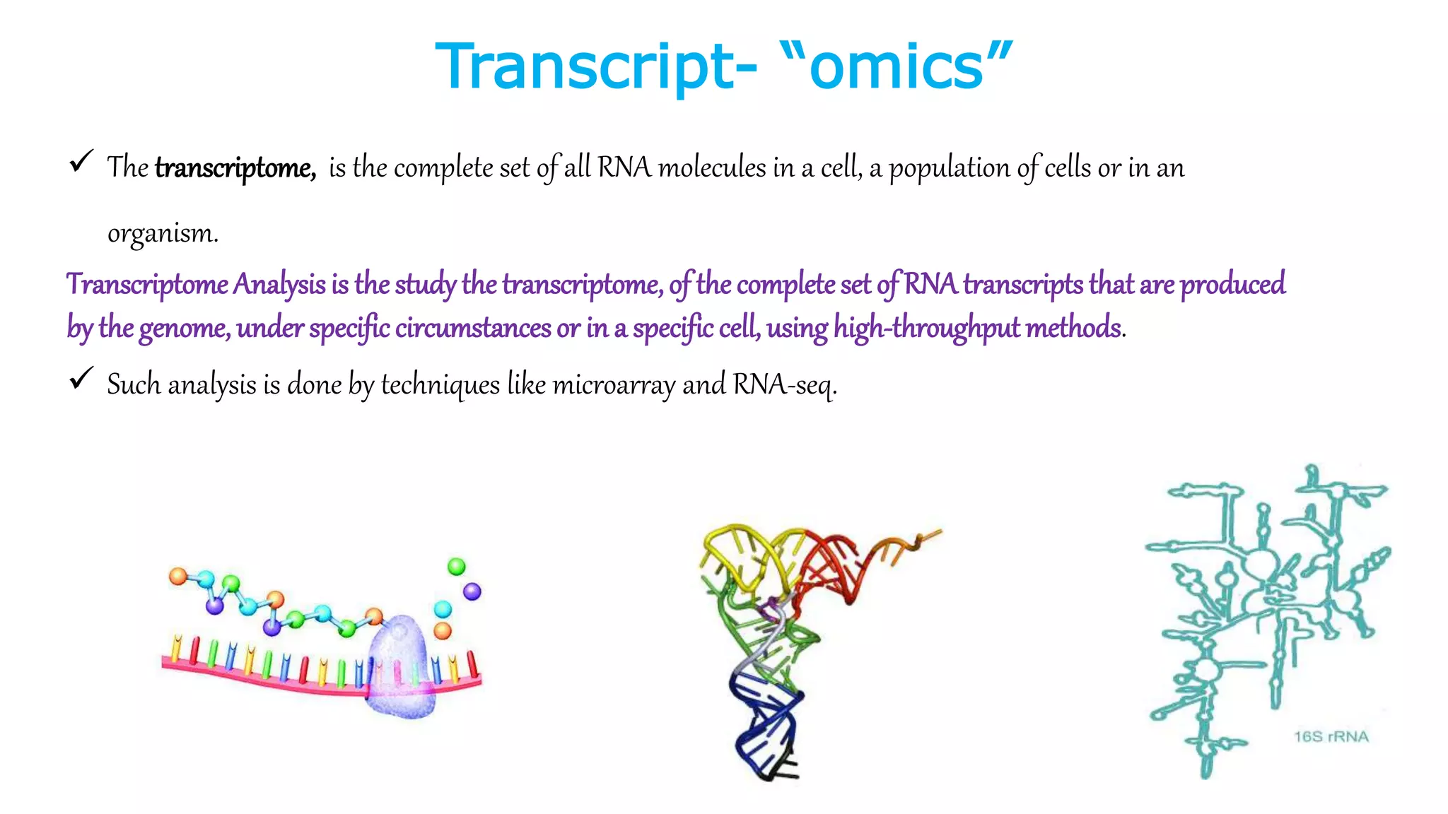 Transcriptome project | PPT