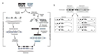 Transcriptome project | PPT