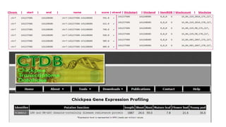 Transcriptome project | PPT