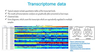Transcriptome project | PPT