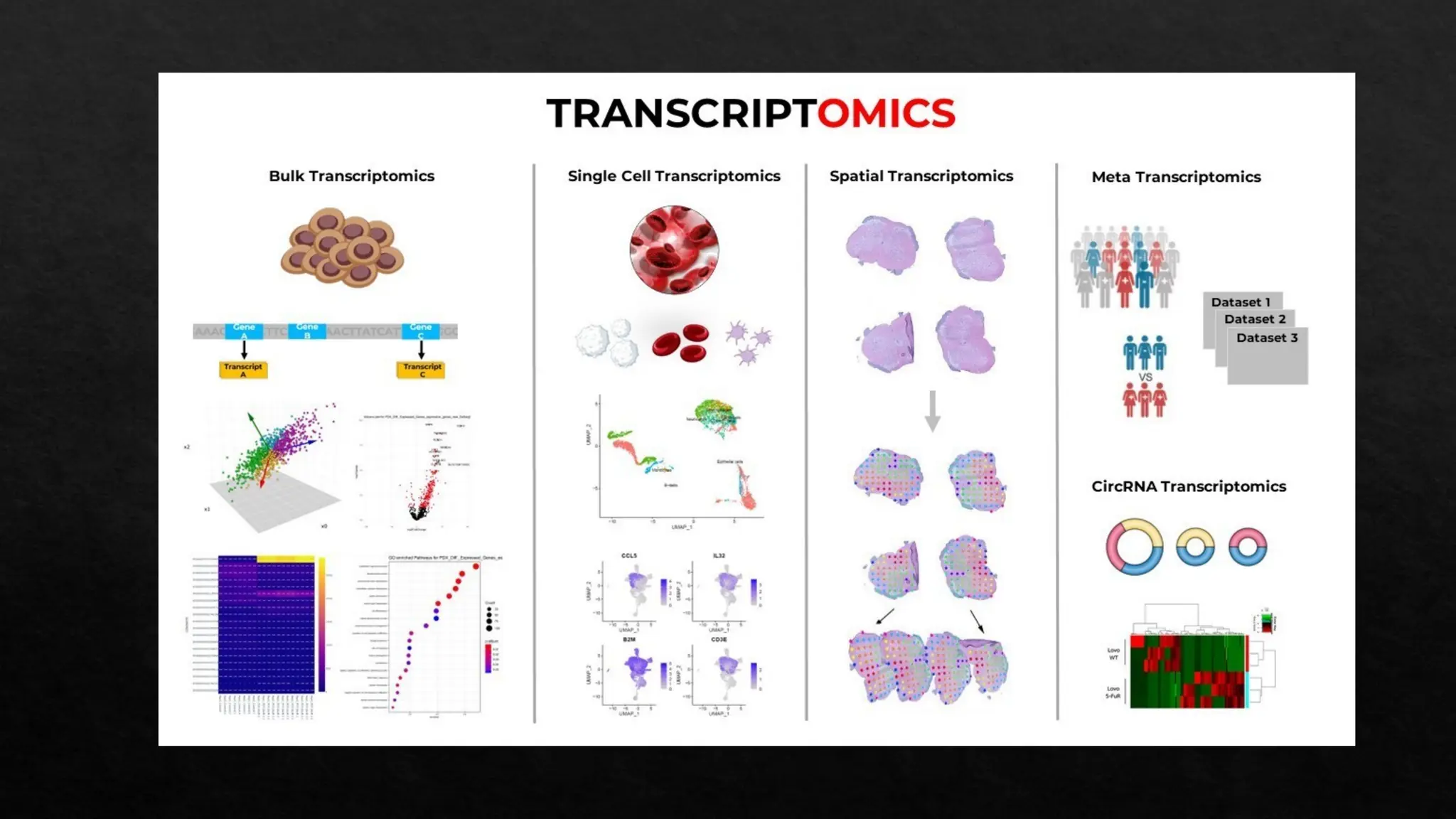Omics study - Transcriptomics ( RNA) Microbiology | PPTX