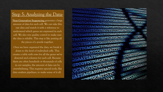 Omics study - Transcriptomics ( RNA) Microbiology | PPTX