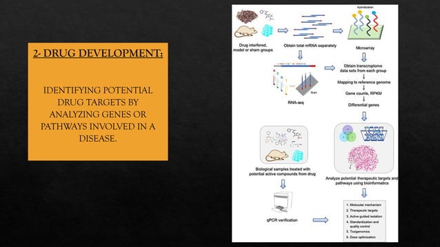 Omics study - Transcriptomics ( RNA) Microbiology | PPTX