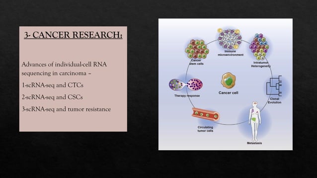 Omics study - Transcriptomics ( RNA) Microbiology | PPTX