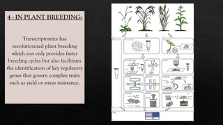 Omics study - Transcriptomics ( RNA) Microbiology | PPTX