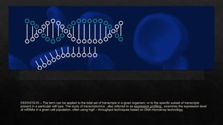 Omics study - Transcriptomics ( RNA) Microbiology | PPTX