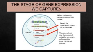 Omics study - Transcriptomics ( RNA) Microbiology | PPTX