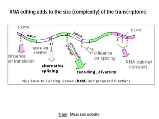 Transcriptomics and metabolomics | PDF