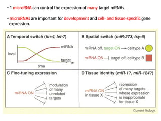Transcriptomics and metabolomics | PDF