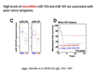 Transcriptomics and metabolomics | PDF