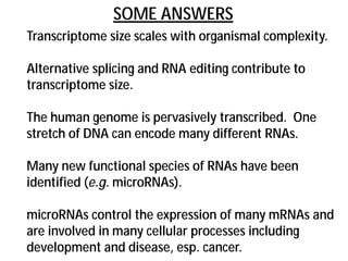 Transcriptomics and metabolomics | PDF