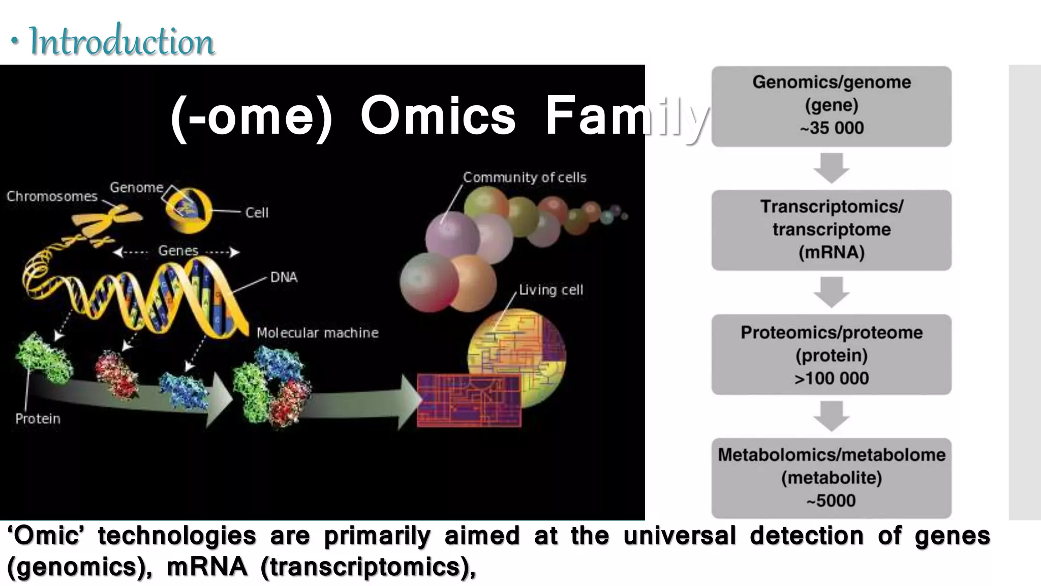 Biotech Era Ahead: Transcriptomics | PPTX