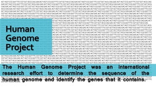 Biotech Era Ahead: Transcriptomics | PPTX