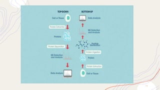 Proteomics: types, protein profiling steps etc. | PPTX
