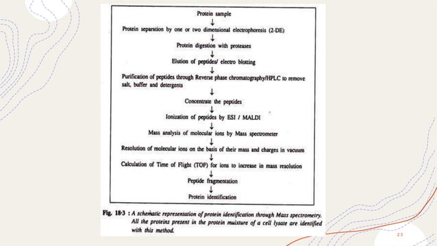 Proteomics: types, protein profiling steps etc. | PPTX