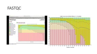 Transcriptomics and its application in health and diseases.pptx