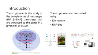 Transcriptomics and its application in health and diseases.pptx