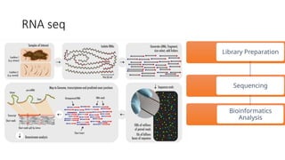 Transcriptomics and its application in health and diseases.pptx