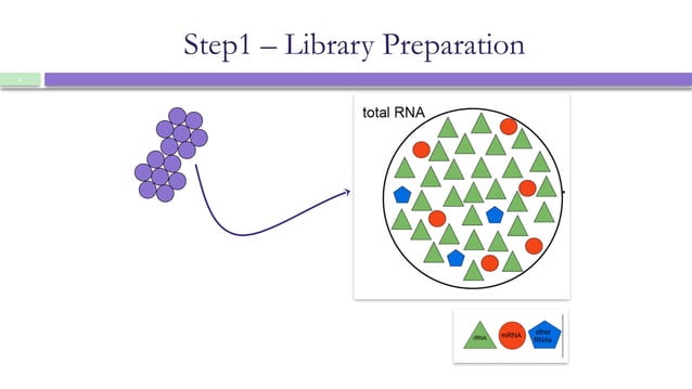 Transcriptomics and its application in health and diseases.pptx