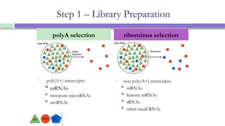 Transcriptomics and its application in health and diseases.pptx