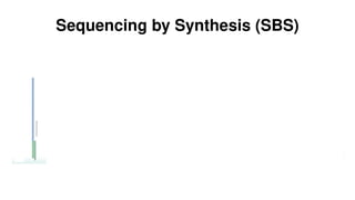 Transcriptomics and its application in health and diseases.pptx