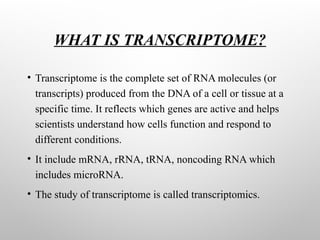 Transcriptomics_Presentation...mRNA, tRNA, rRNA | PPTX