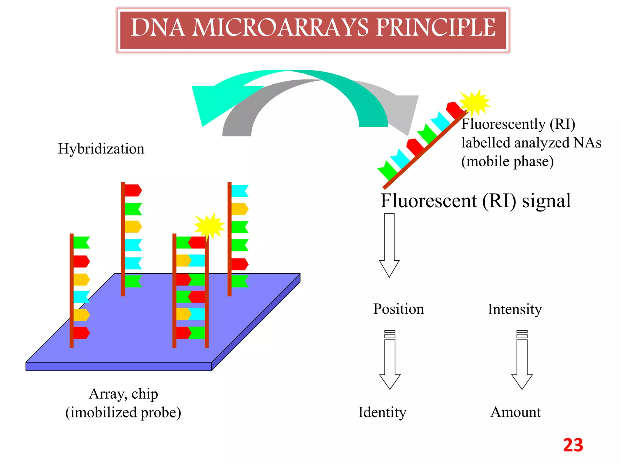Transcriptomics: A Tool for Plant Disease Management | PPTX
