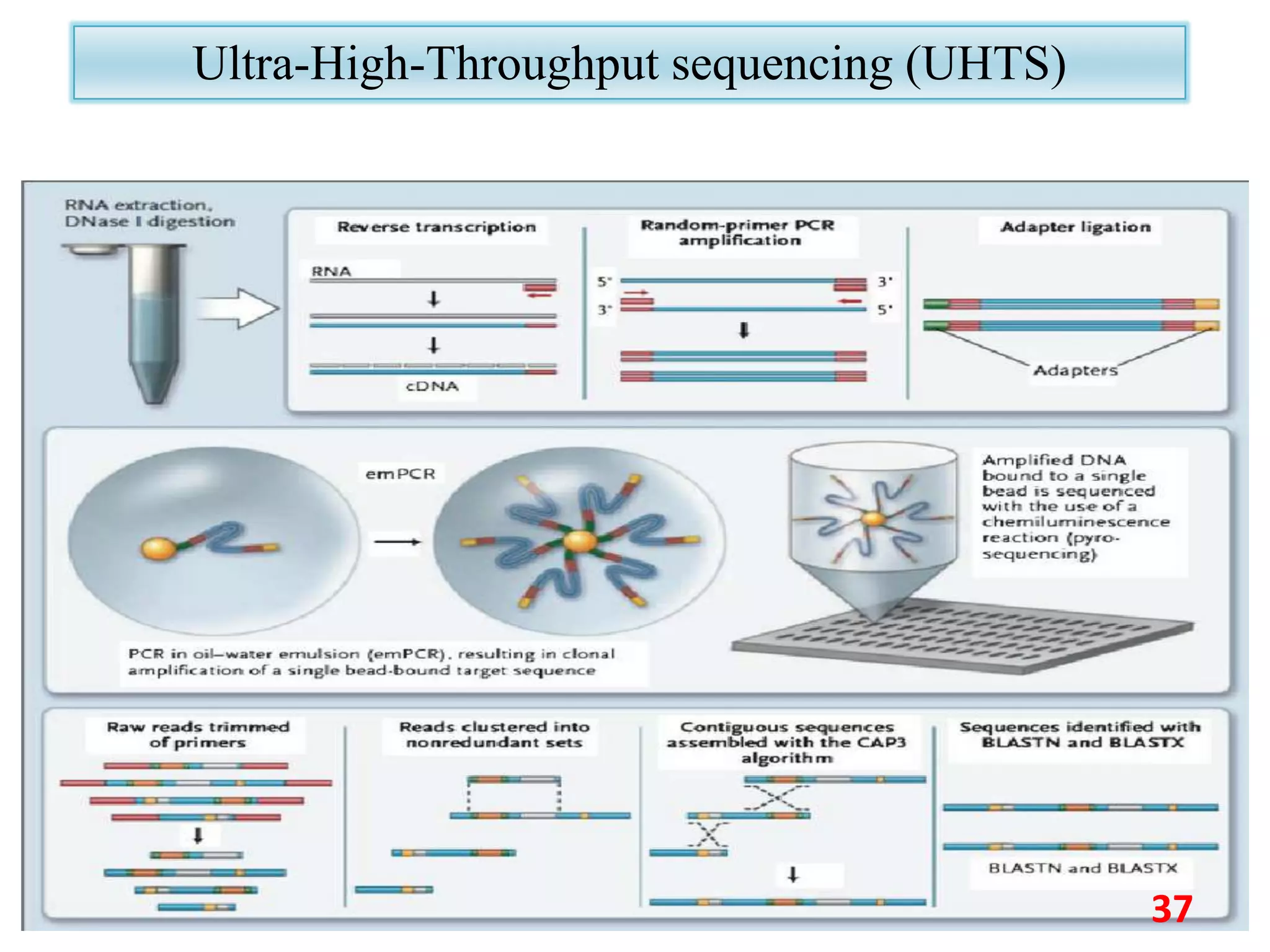 Transcriptomics: A Tool for Plant Disease Management | PPTX