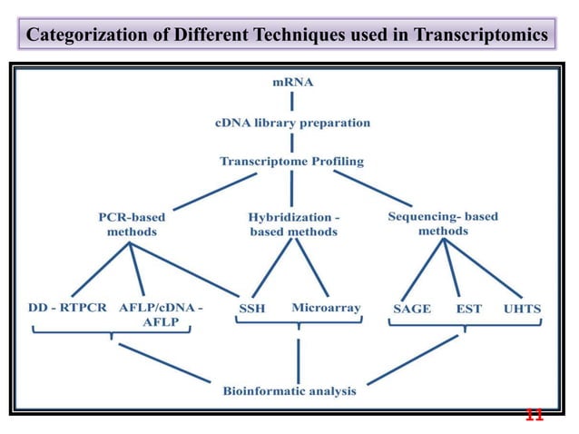 Transcriptomics: A Tool for Plant Disease Management | PPTX