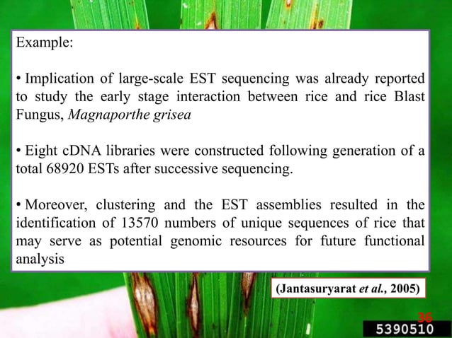 Transcriptomics: A Tool for Plant Disease Management | PPTX