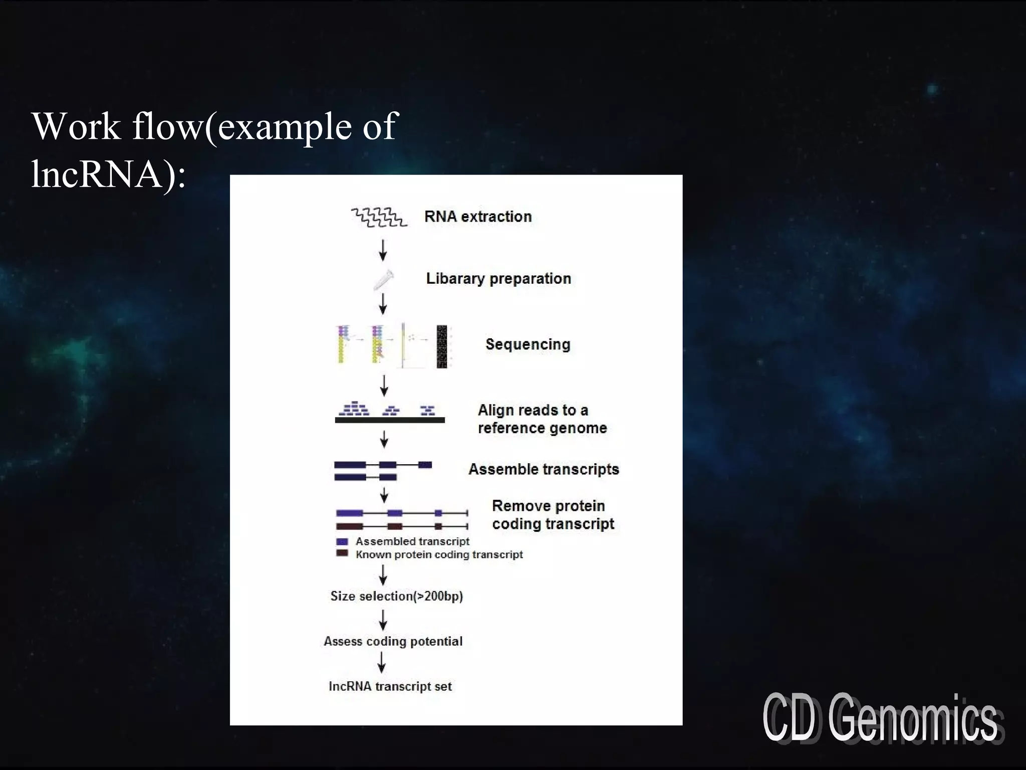 Transcriptomics sequencing | PPT