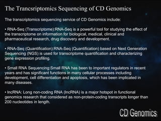 Transcriptomics sequencing | PPT